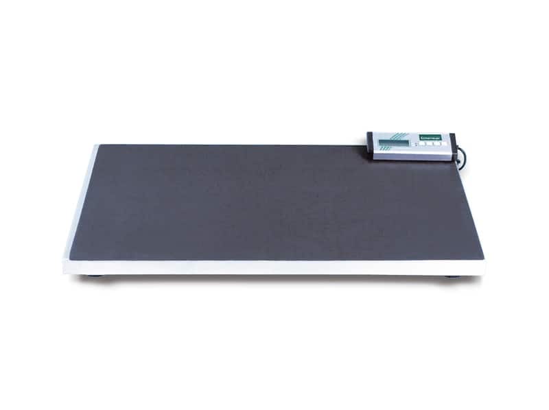 Scales - Greyhound Superstore